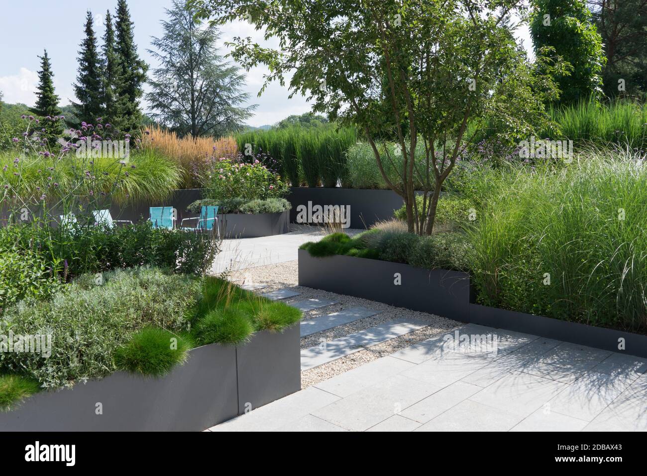 Modern garden architecture with herbs and grass Stock Photo - Alamy