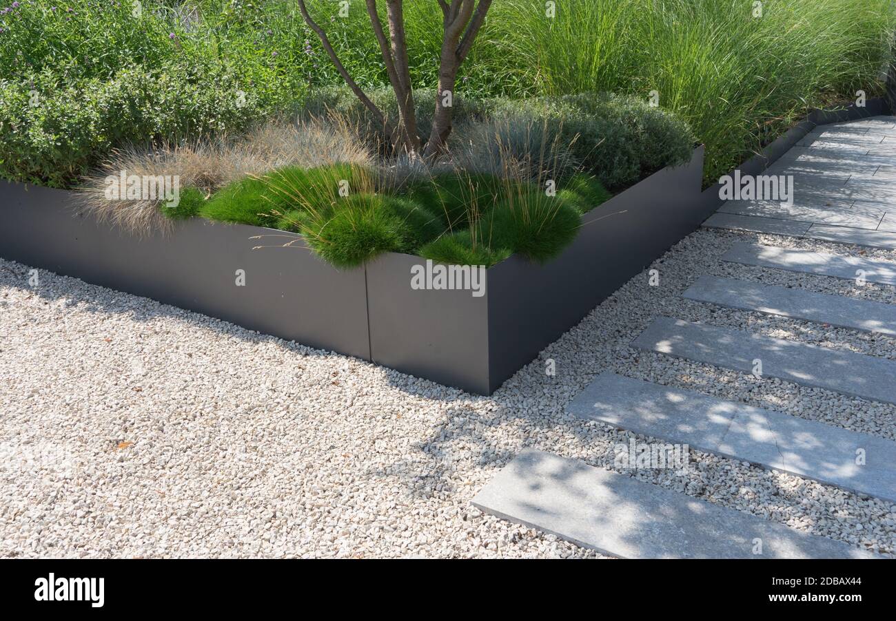 Modern garden architecture with herbs and grass Stock Photo - Alamy