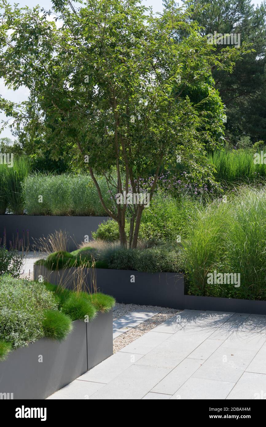 Modern garden architecture with herbs and grass Stock Photo - Alamy