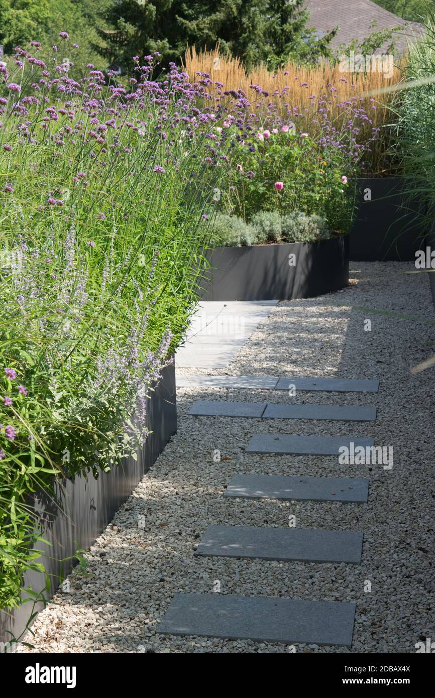 Modern garden architecture with herbs and grass Stock Photo - Alamy