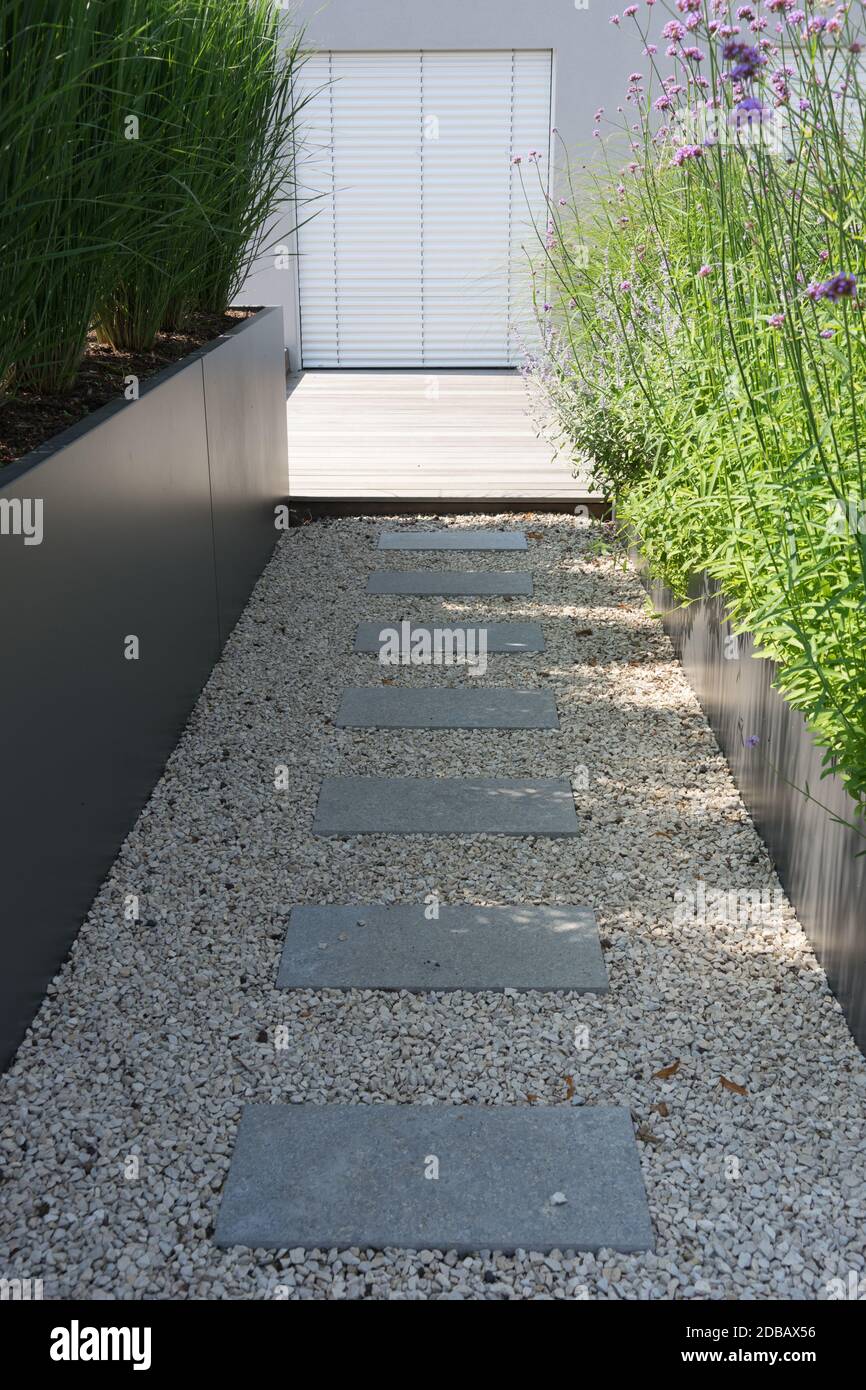Modern garden architecture with herbs and grass Stock Photo - Alamy