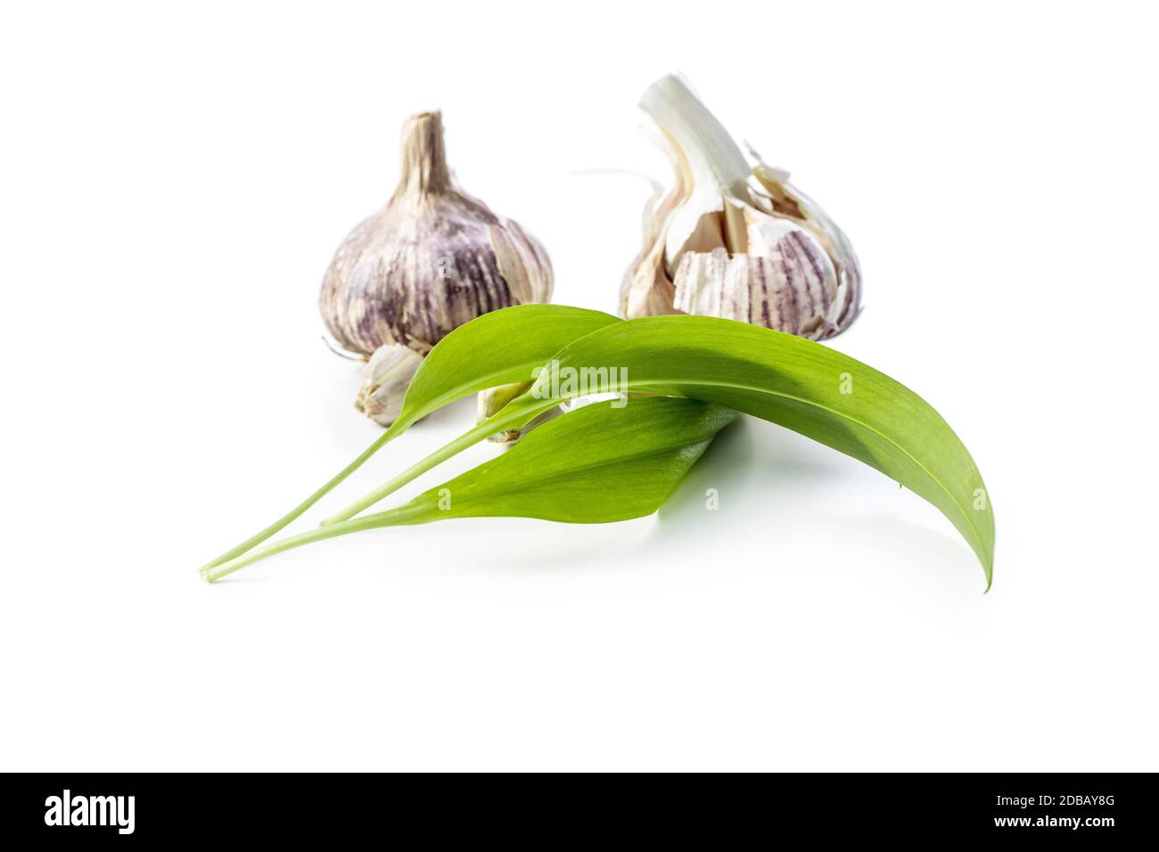 Green wild garlic leaves and garlic bulb. Ramsons leaves isolated on ...