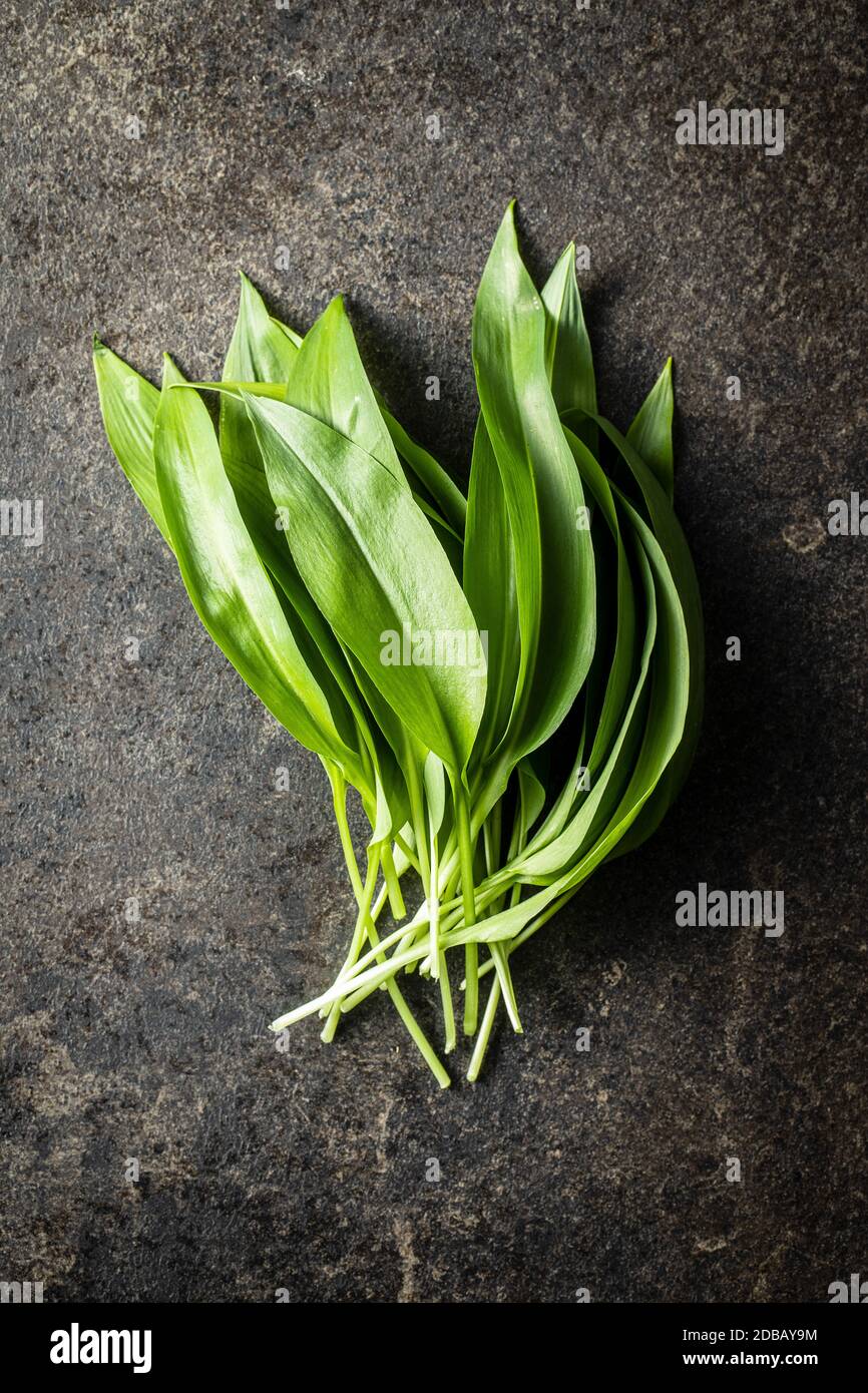 Green wild garlic leaves. Ramsons leaves on black table. Top view Stock ...