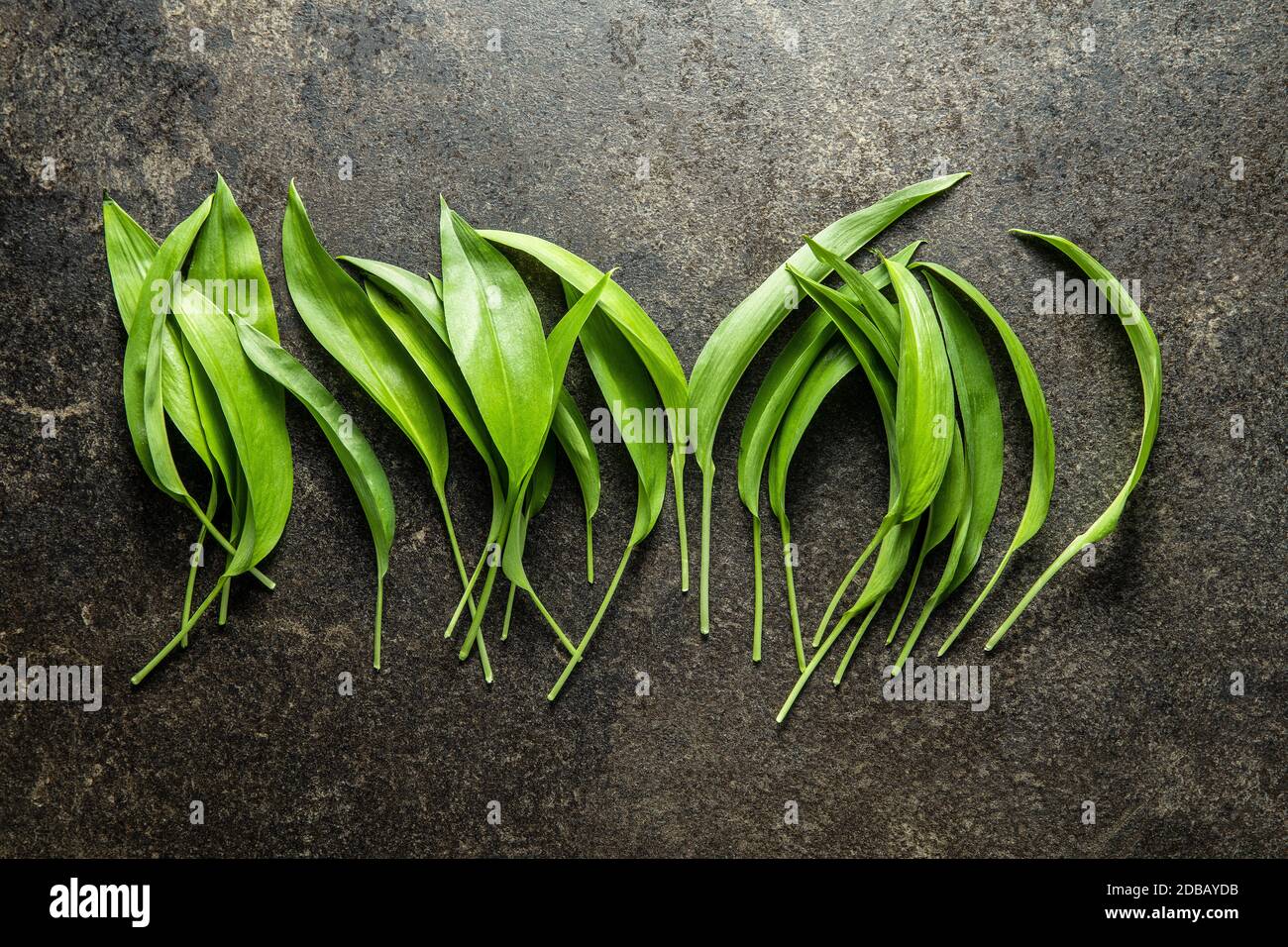 Green wild garlic leaves. Ramsons leaves on black table. Top view Stock ...