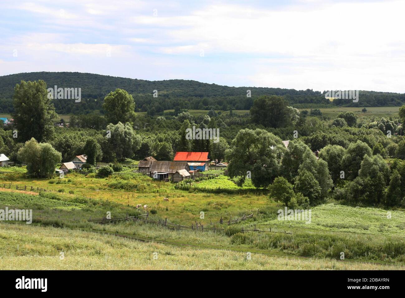 Beautiful summer village landscape Stock Photo - Alamy