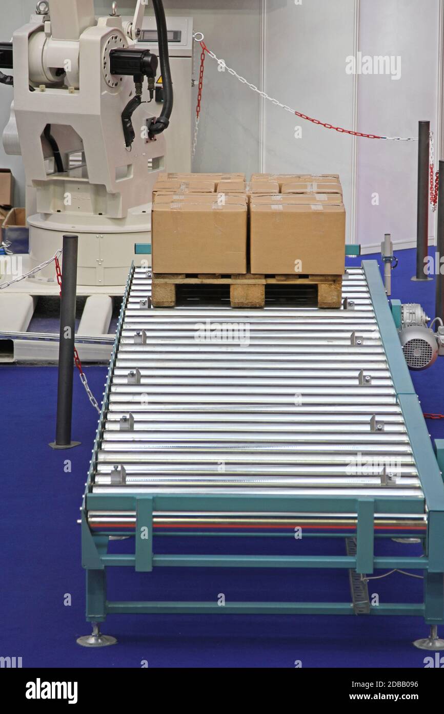 Palletizer for Boxes at Conveyor Rollers Cargo Delivery Stock Photo - Alamy