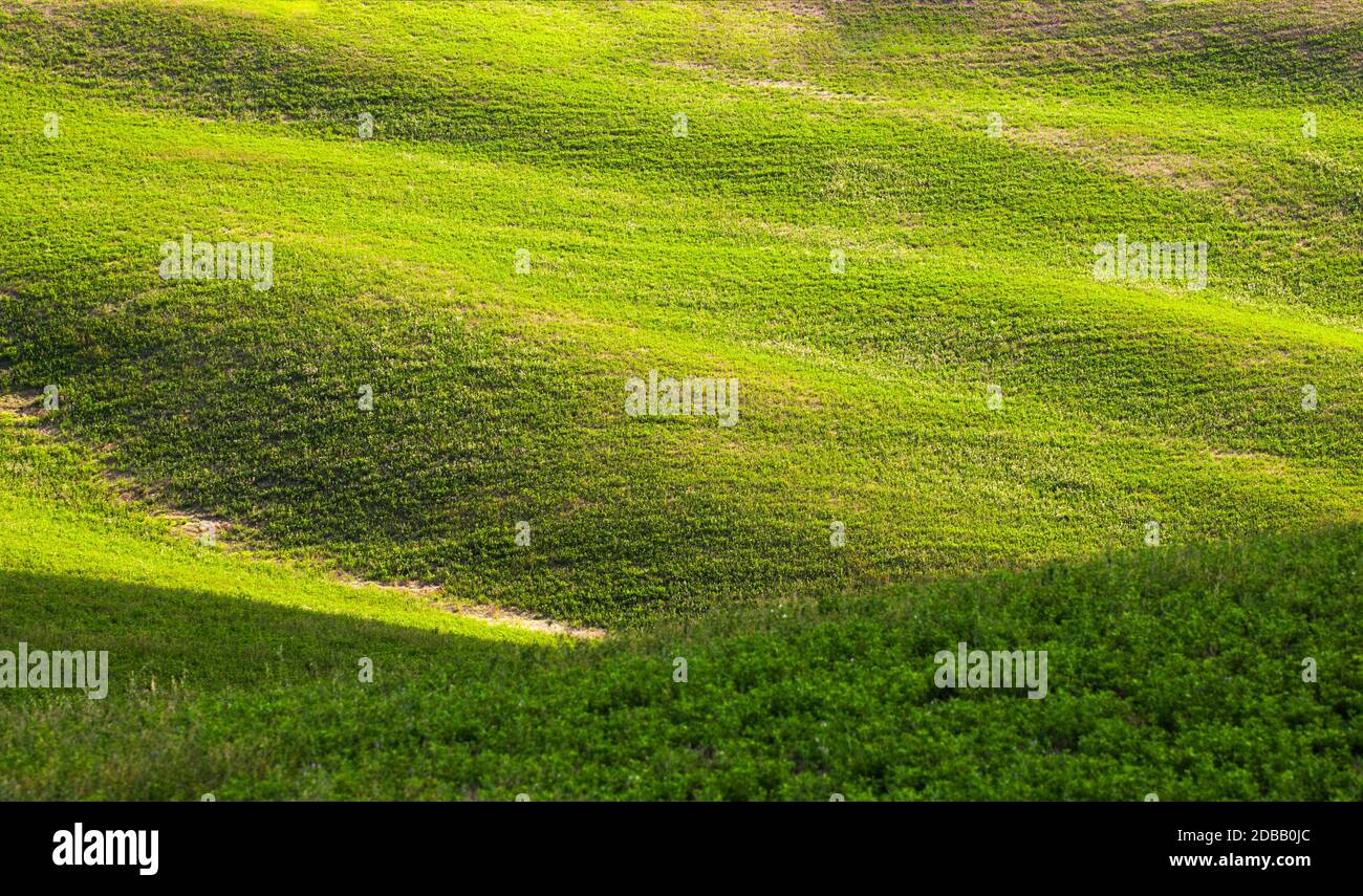 Green hill of grass field, Abstract spring background Stock Photo - Alamy