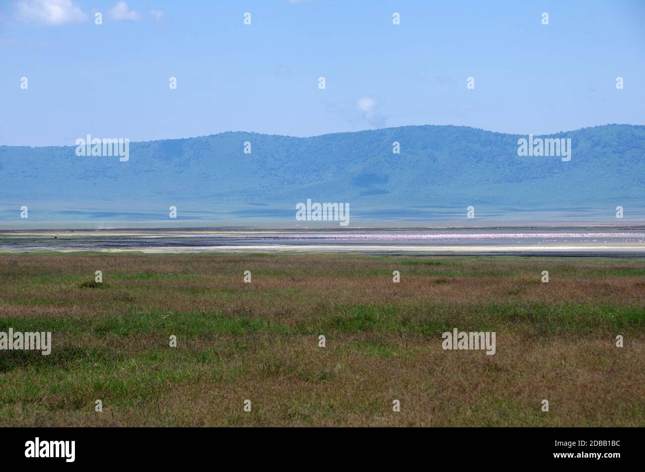 Landscape in the Ngorongoro crater in Tanzania, East Africa Stock Photo ...