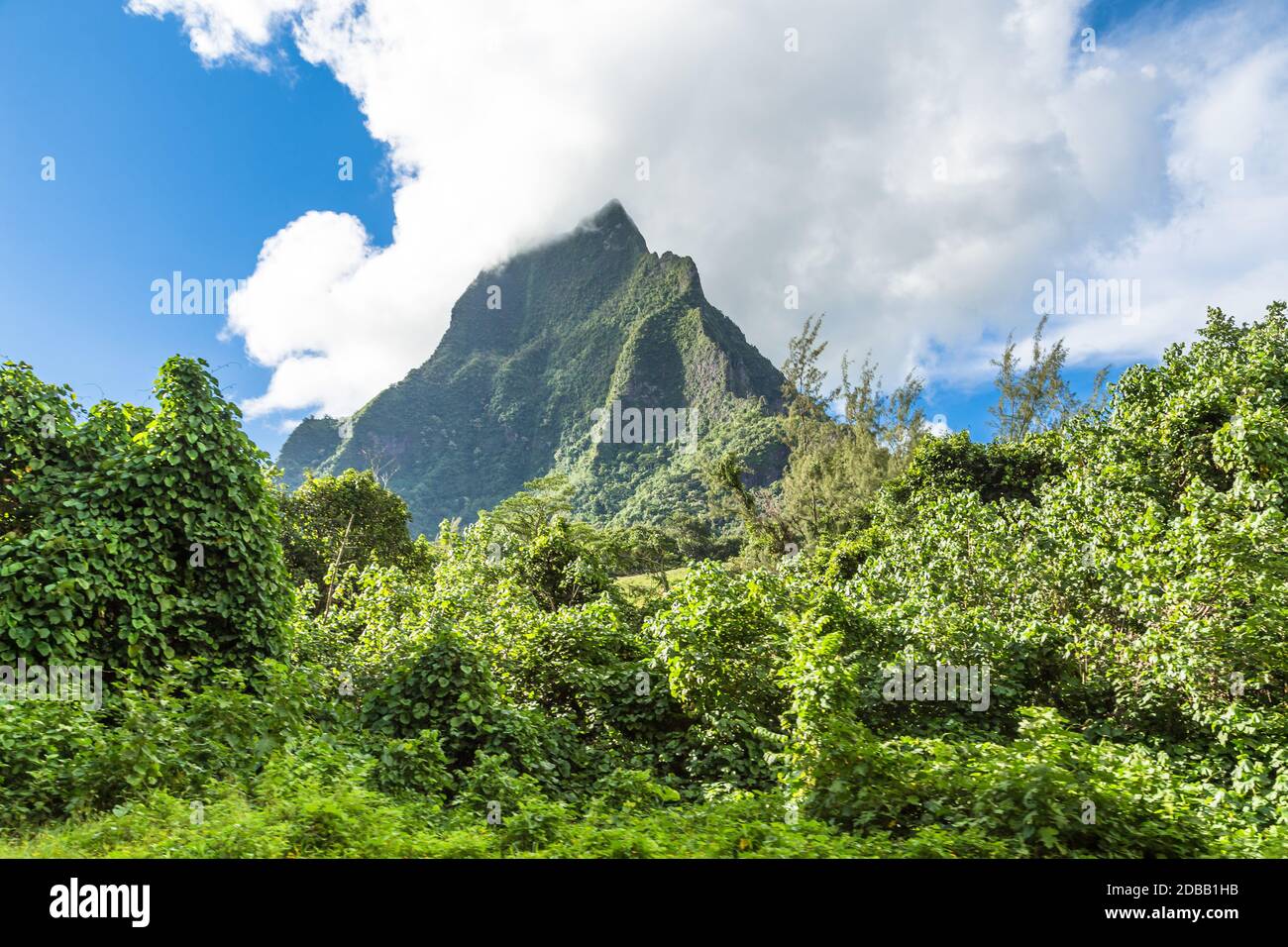 Moorea Island in the French Polynesia Stock Photo - Alamy