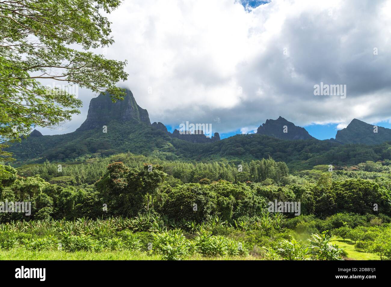 Moorea Island in the French Polynesia Stock Photo - Alamy