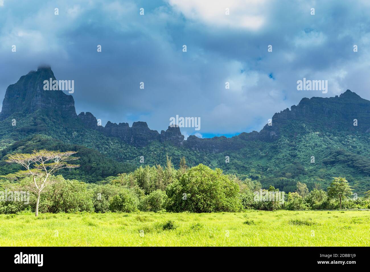 Moorea Island in the French Polynesia Stock Photo - Alamy