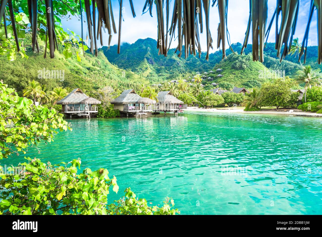 Moorea Island in the French Polynesia Stock Photo - Alamy