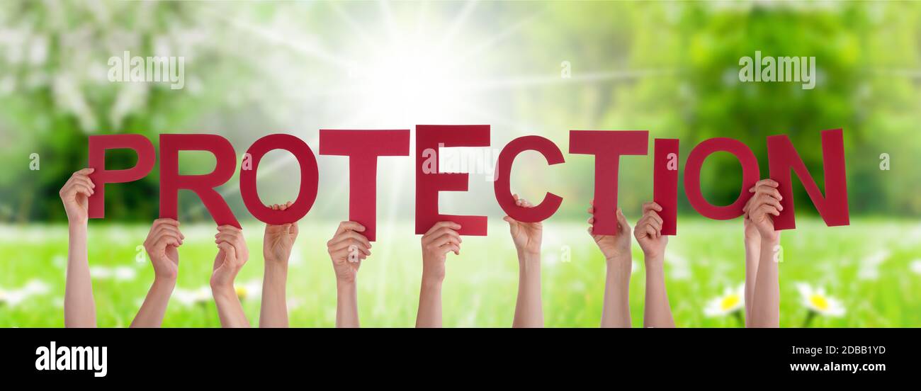 People Hands Holding Colorful English Word Protection. Sunny Green ...