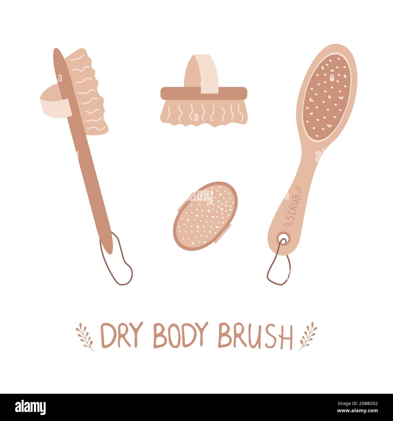 Organic body care dry Stock Vector Images - Alamy