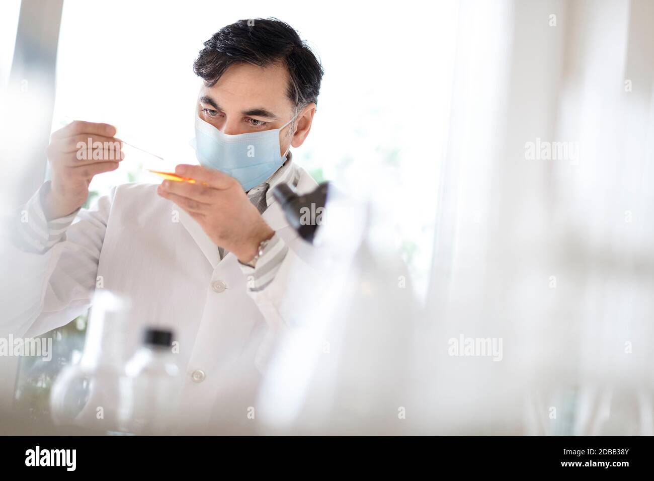 Doctor testing sample Stock Photo - Alamy