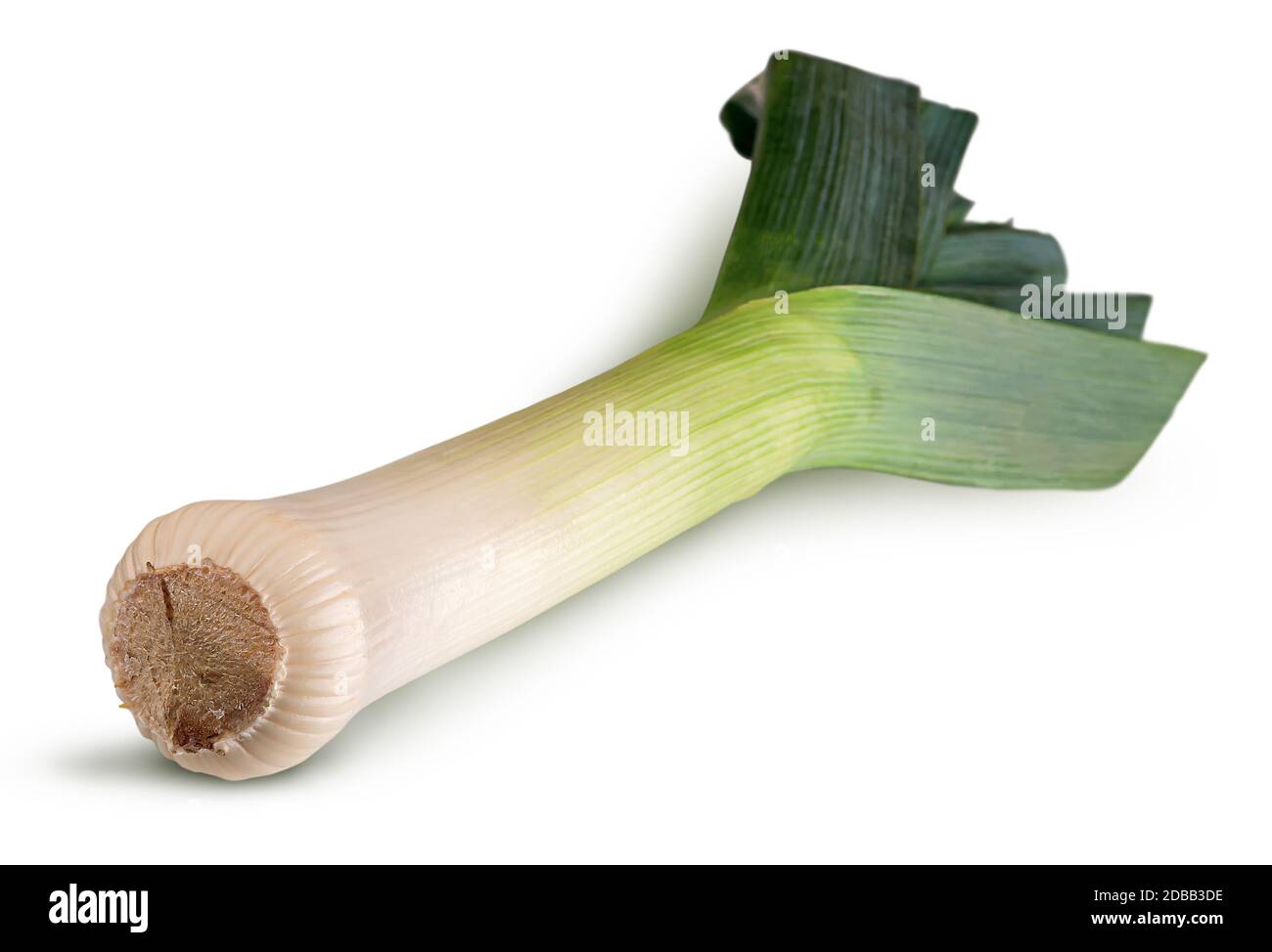 Fresh green leek isolated on white background Stock Photo - Alamy