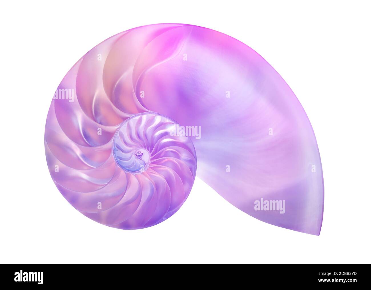 Object proportion Cut Out Stock Images & Pictures - Alamy