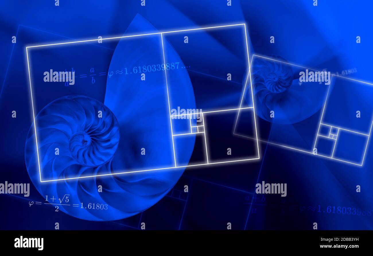 Seashell shapes hi-res stock photography and images - Alamy