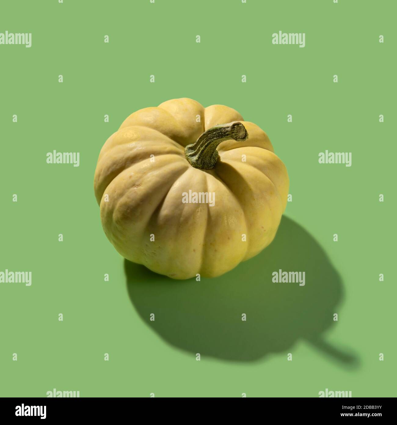 Image of pumpkin hi-res stock photography and images - Alamy