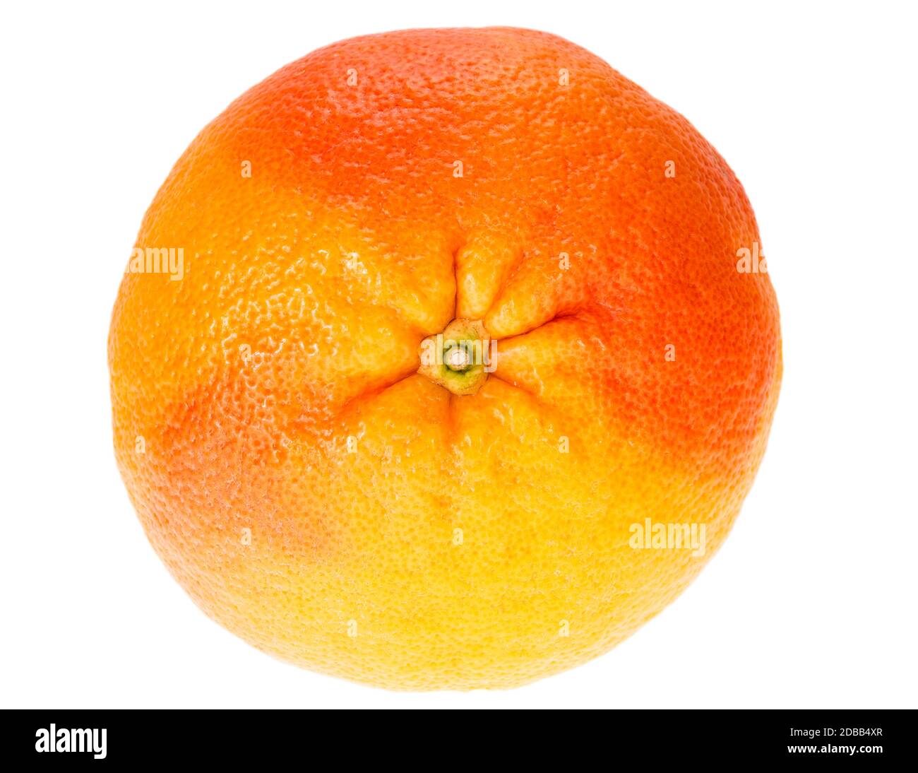 Single tropical fruit of grapefruit isolated on white backround, close ...
