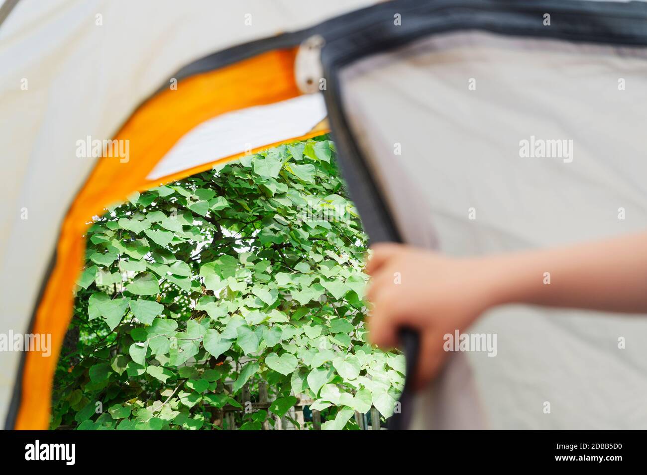 Boys (4-5) hand opening tent door Stock Photo - Alamy