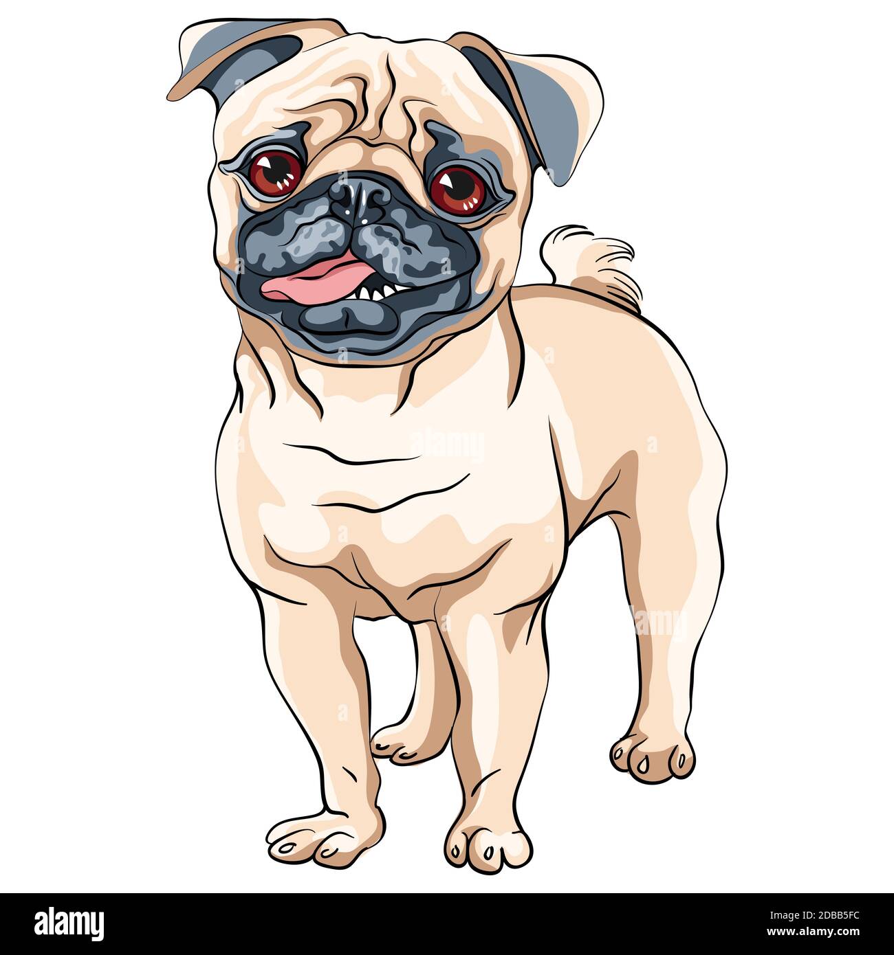 Pug tail Cut Out Stock Images & Pictures - Alamy