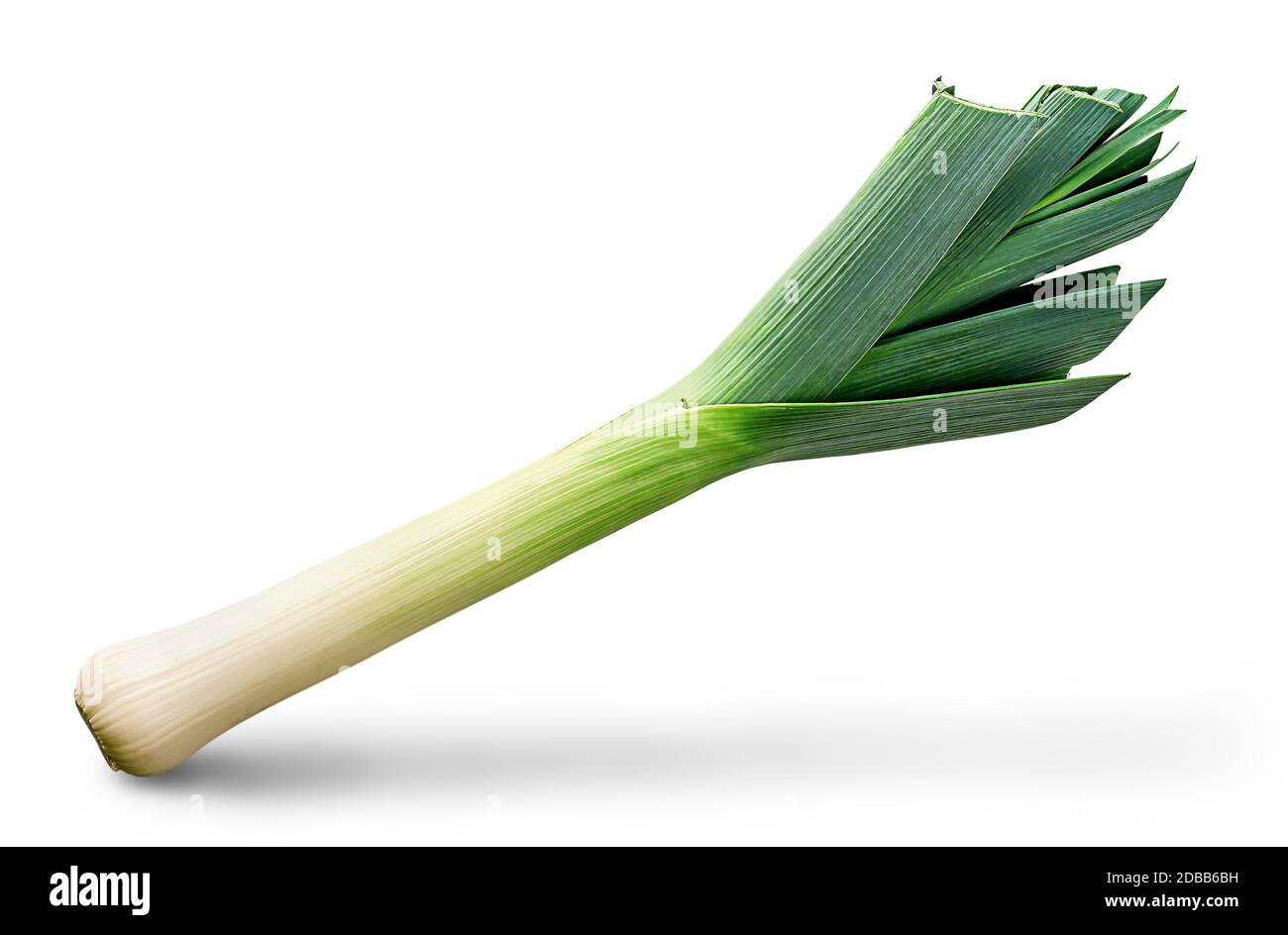 Fresh green leek front view Stock Photo - Alamy