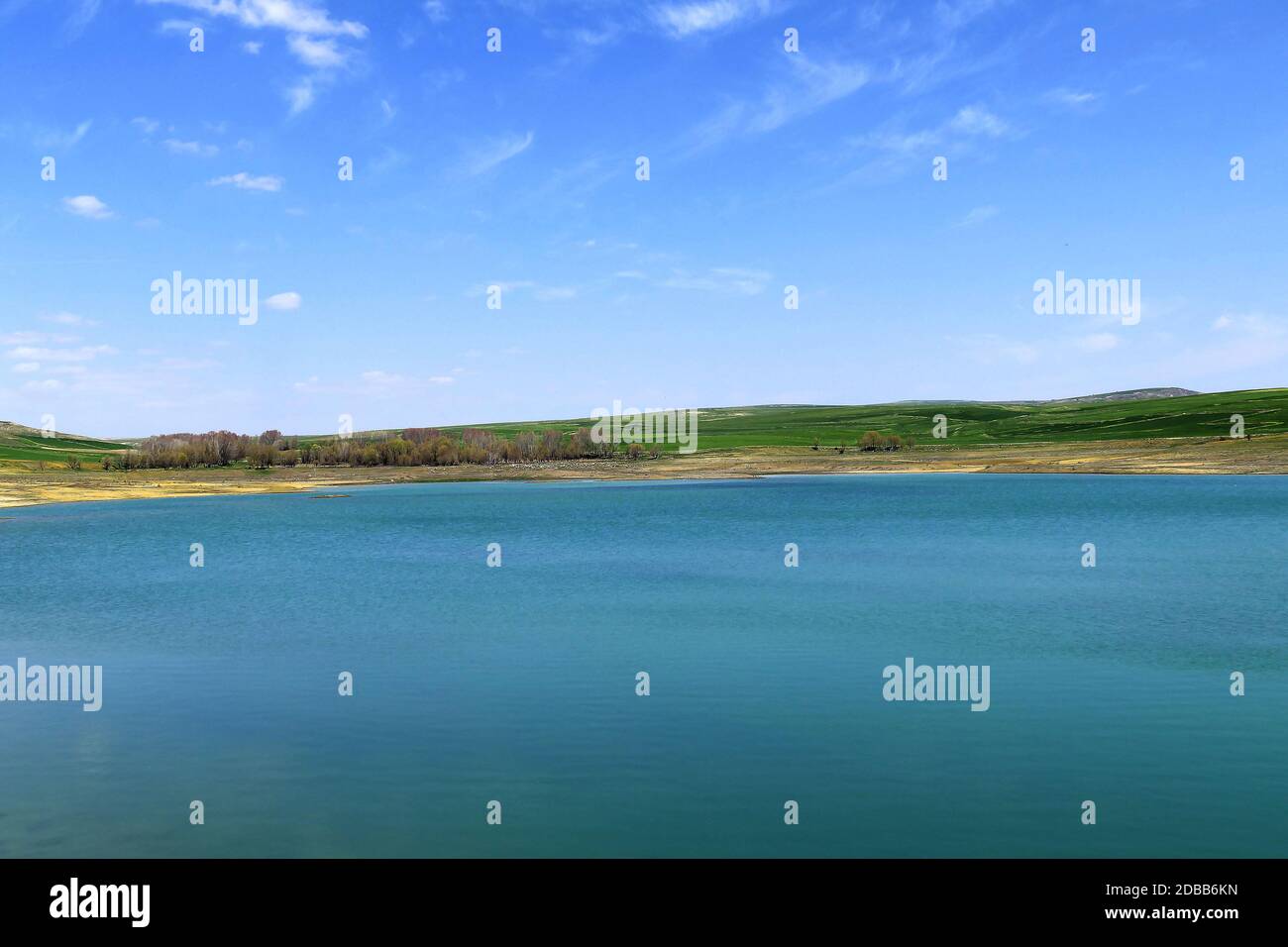 Drought thirst drinking water decreasing hi-res stock photography and ...