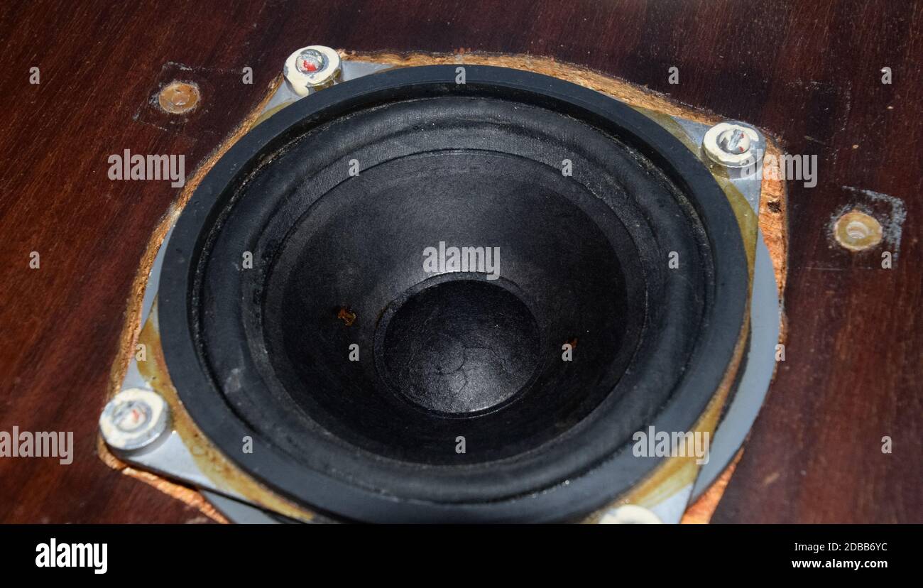 Mid-range speaker diffuser painting with ink stamp. Painting the diffusers of speakers with ...