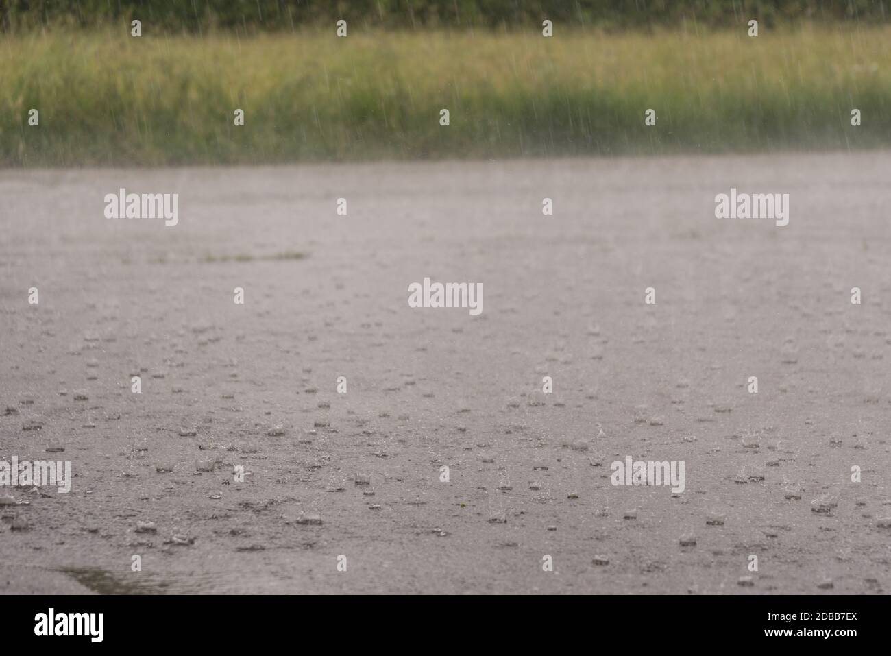 Plout hi-res stock photography and images - Alamy