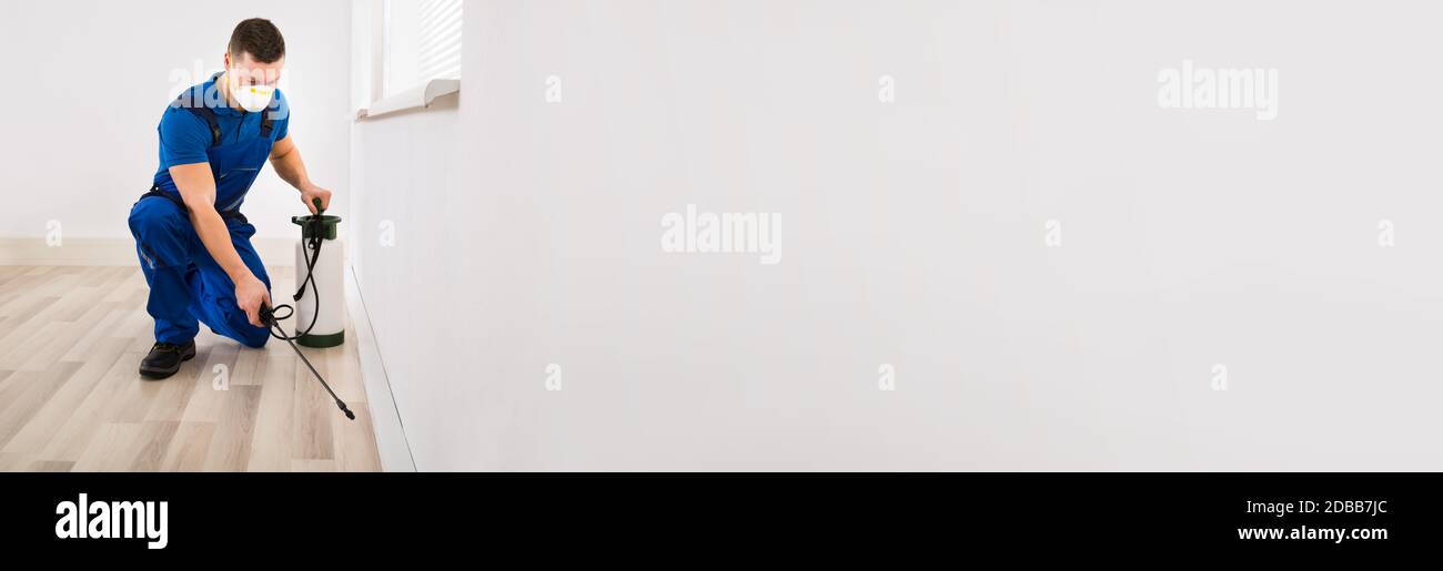 Exterminator Spraying Pesticide Insect Spray. Pest Service At Home ...