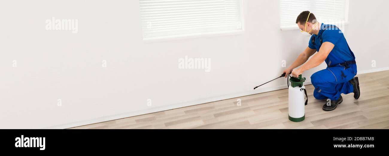 Exterminator Spraying Pesticide Insect Spray. Pest Service At Home ...