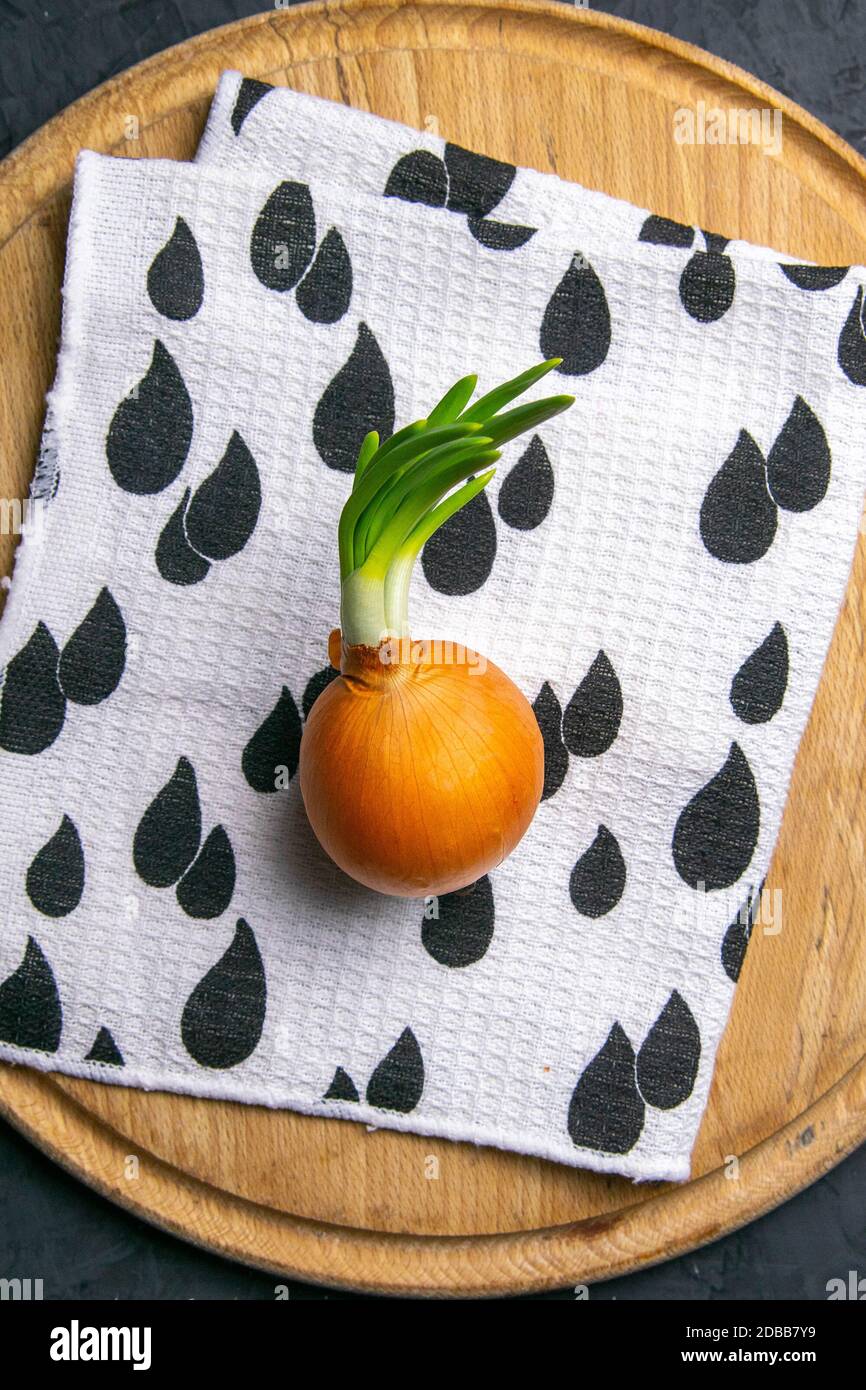 Spring onions are rich in vitamins,minerals and natural compound. Green ...