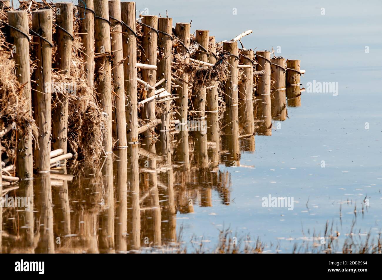 Groyne rows hi-res stock photography and images - Alamy