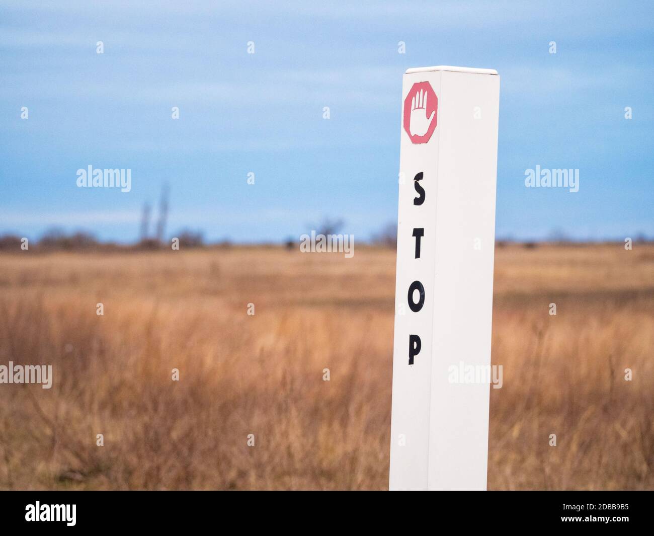 sign, grass, green, symbol, blue, wooden, field, sky, nature, arrow ...