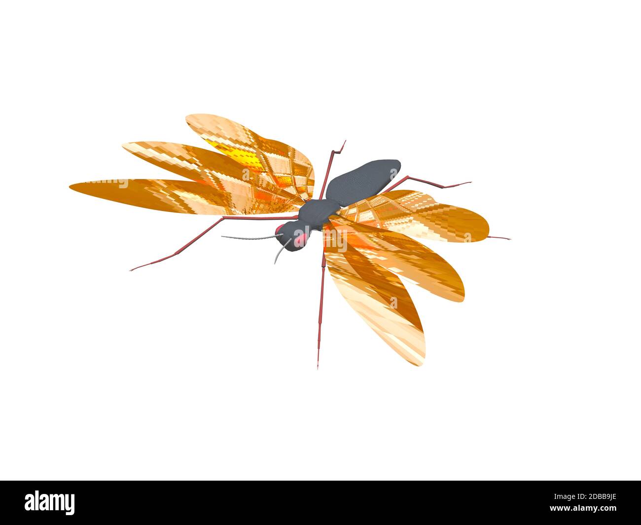 Insect with colorful wings Stock Photo - Alamy