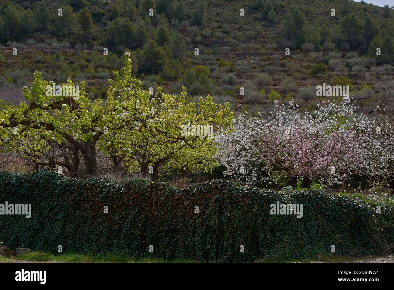 The fruit fields hi-res stock photography and images - Alamy