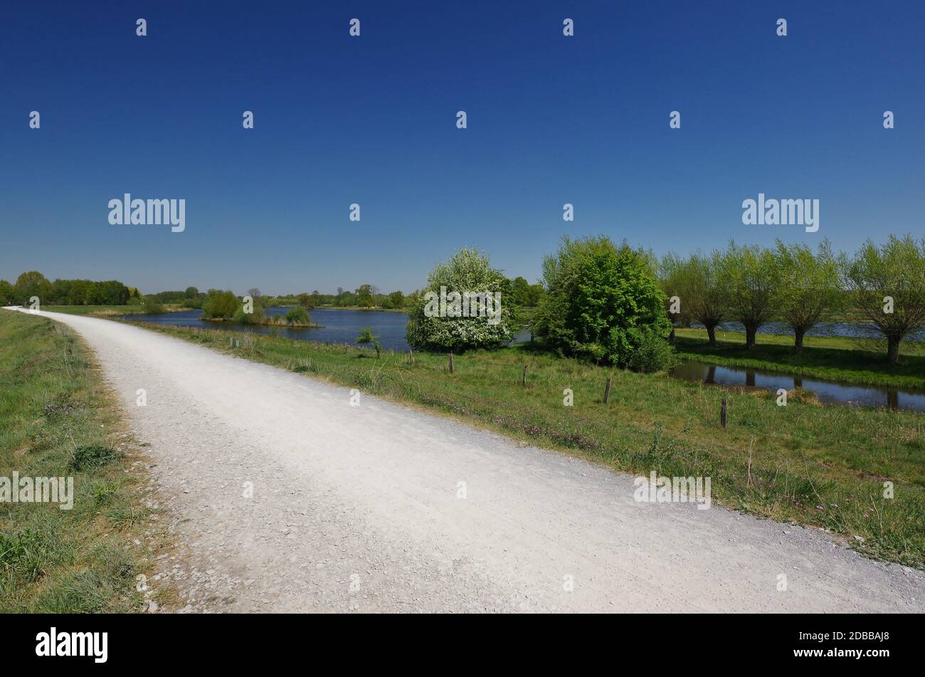 Natural rainwater basin hi-res stock photography and images - Alamy