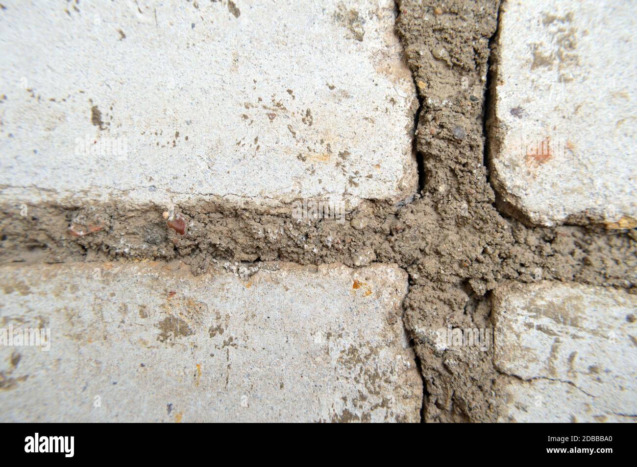 texture of brick wall, view macro, shallow dof Stock Photo - Alamy