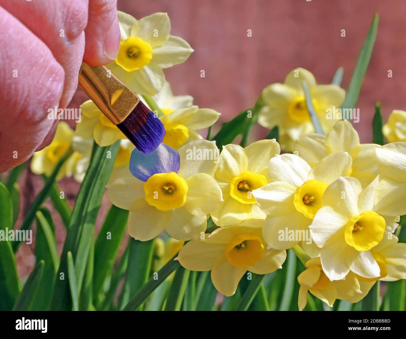 Falsified hi-res stock photography and images - Alamy