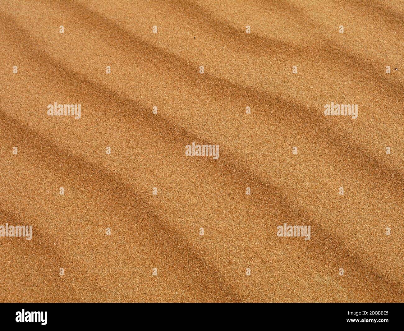 Sand from a desert on the outskirts of Dubai Stock Photo - Alamy