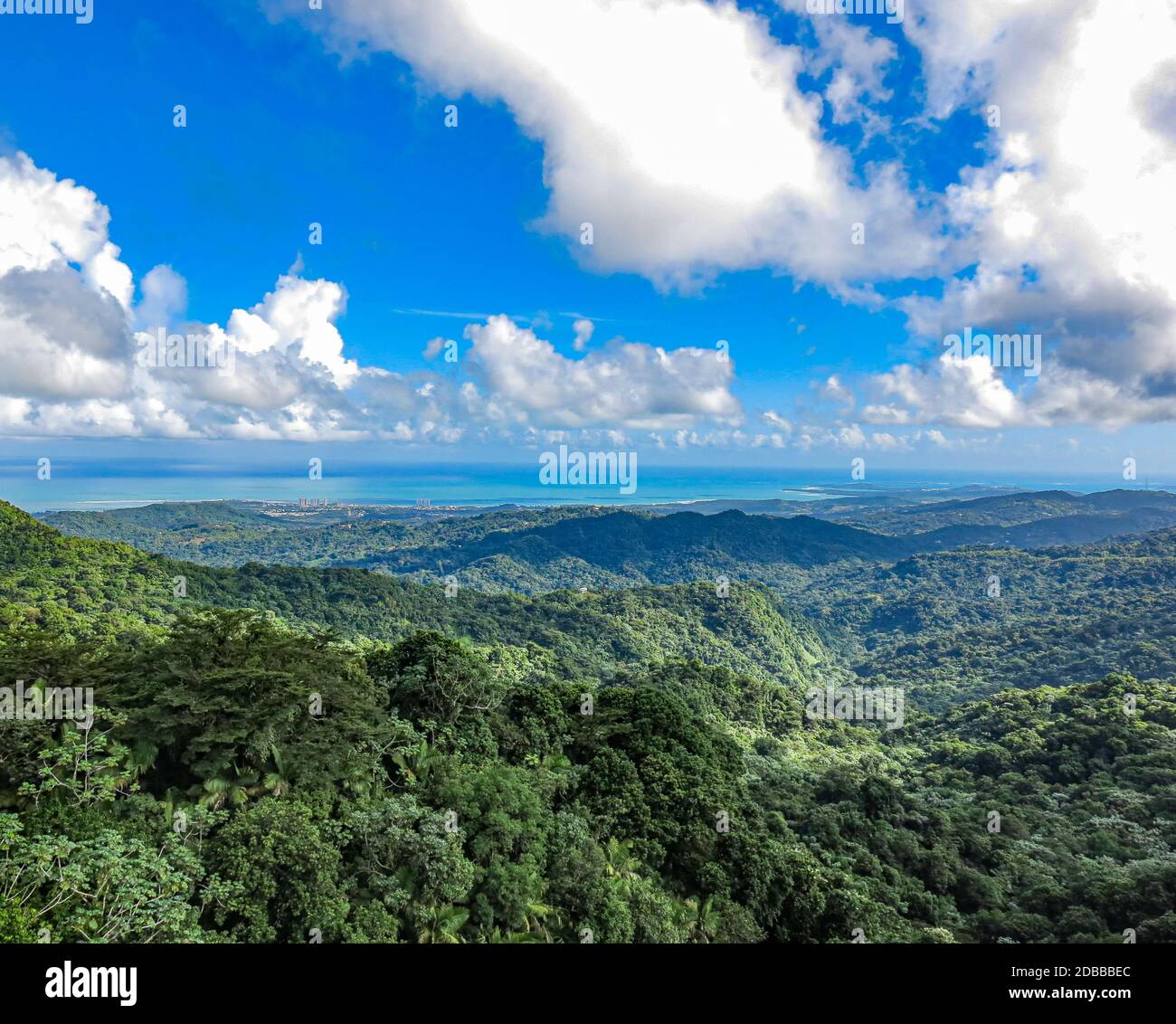 Puerto rico el yunque national park hi-res stock photography and images ...