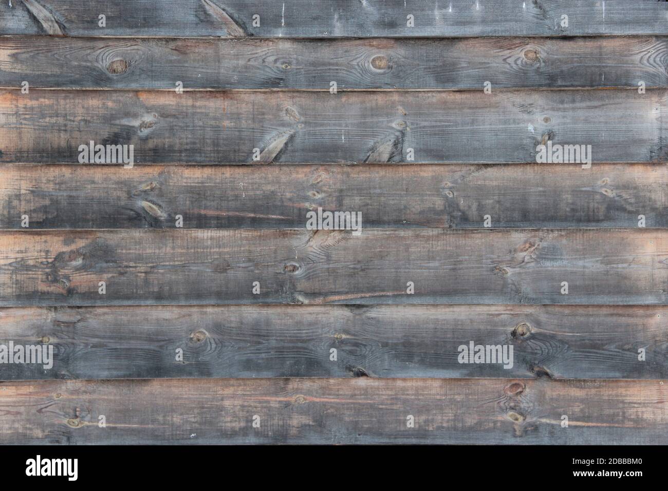 Wooden vintage texture. Old textured background. Tree cut light ...