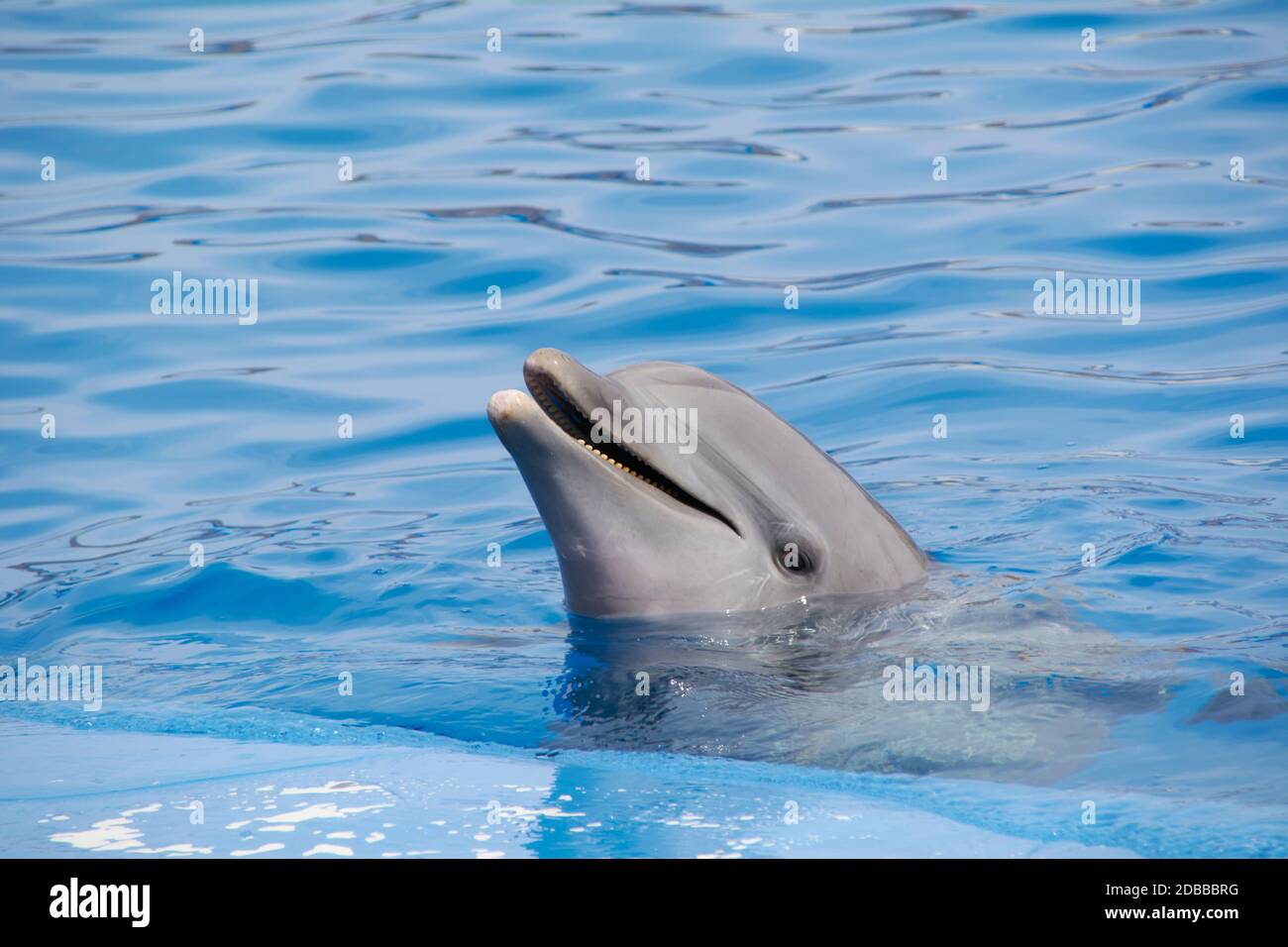 World wonderful hi-res stock photography and images - Alamy