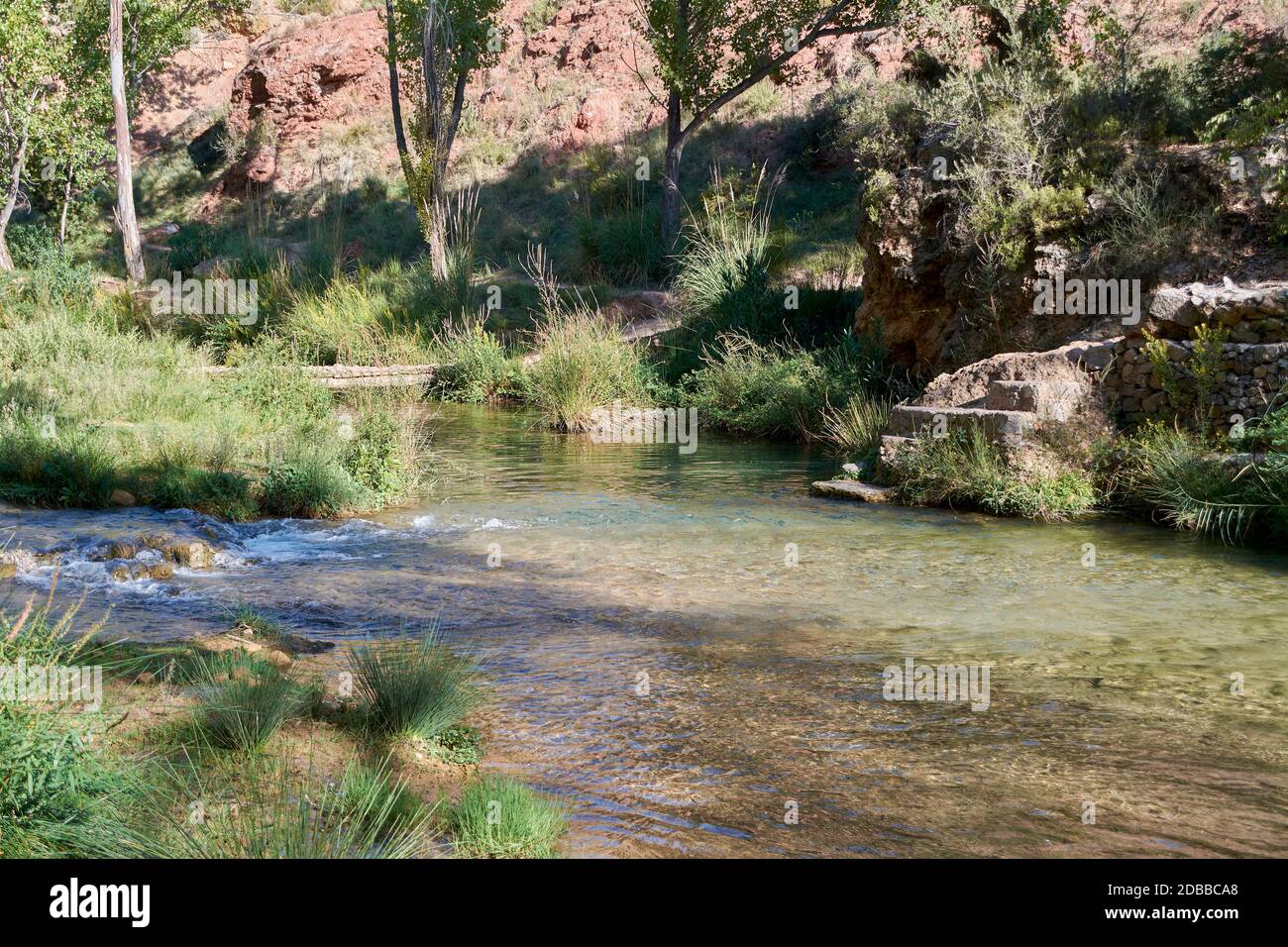 Stream with calm and transparent waters, vegetation and bright light ...