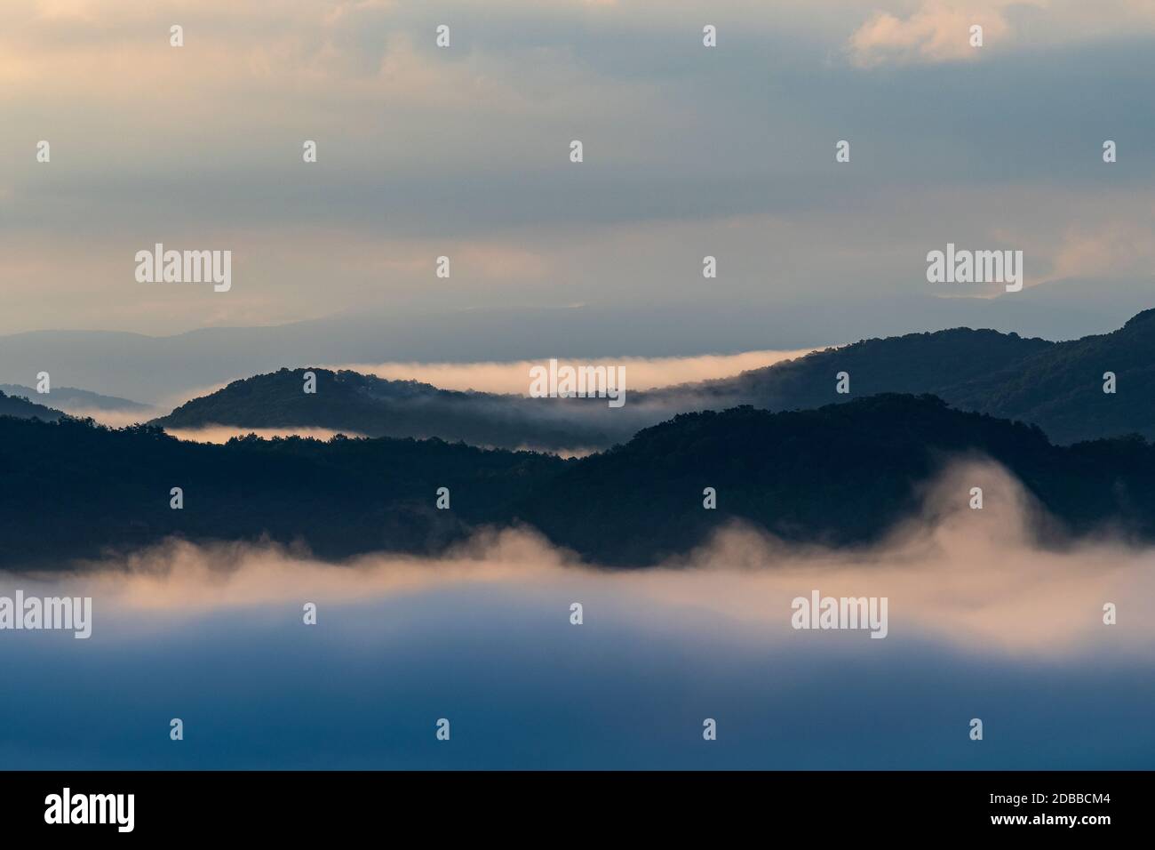 FOG IN THE HOLLOWS OF BLUE RIDGE MOUNTAINS, NORTHWEST GA, USA Stock ...