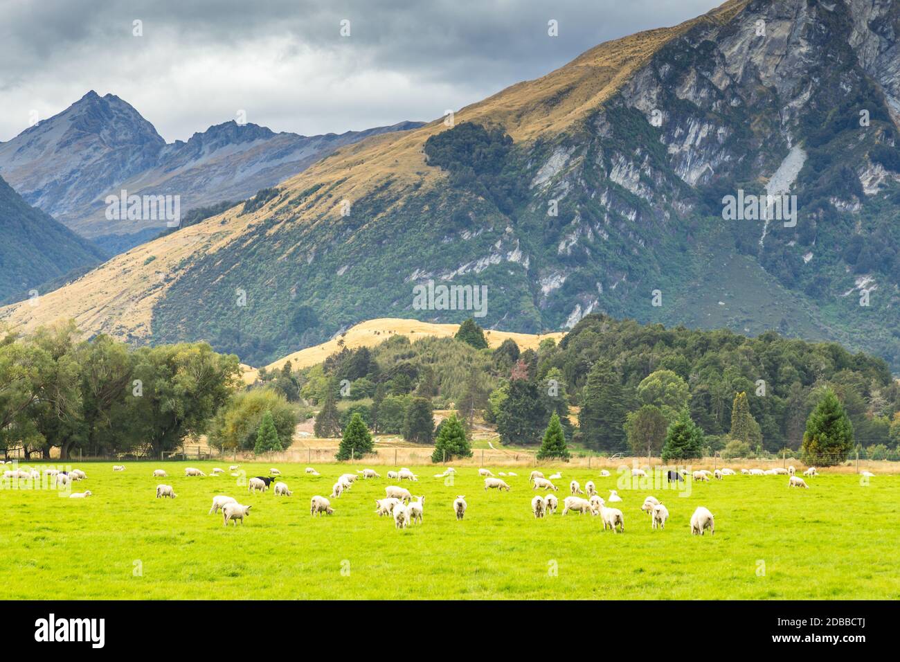 Queenstown in New Zealand. The city of adventure and nature Stock Photo ...