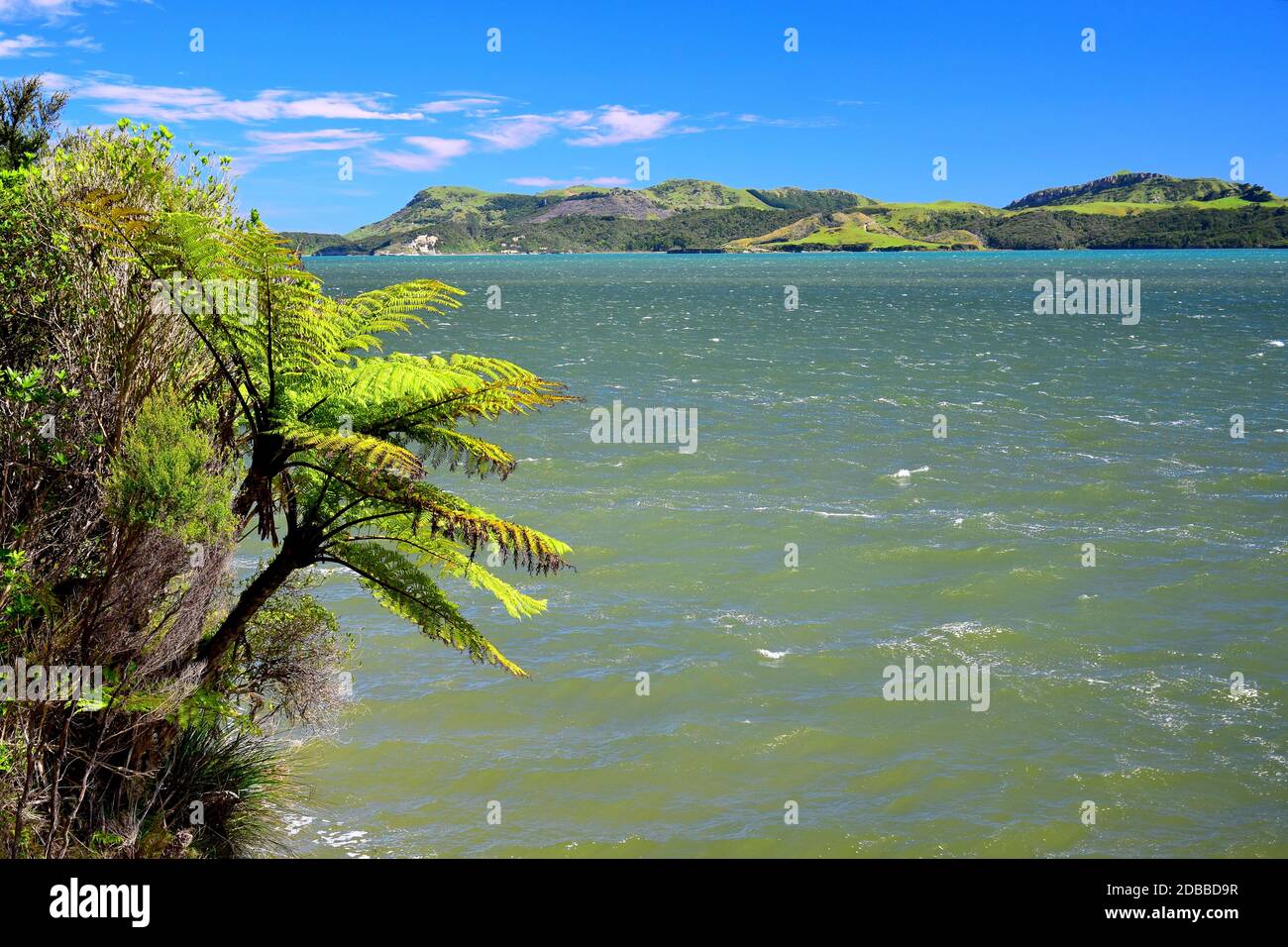 The beautiful Whanganui Inlet is a marine and wildlife reserve. New ...