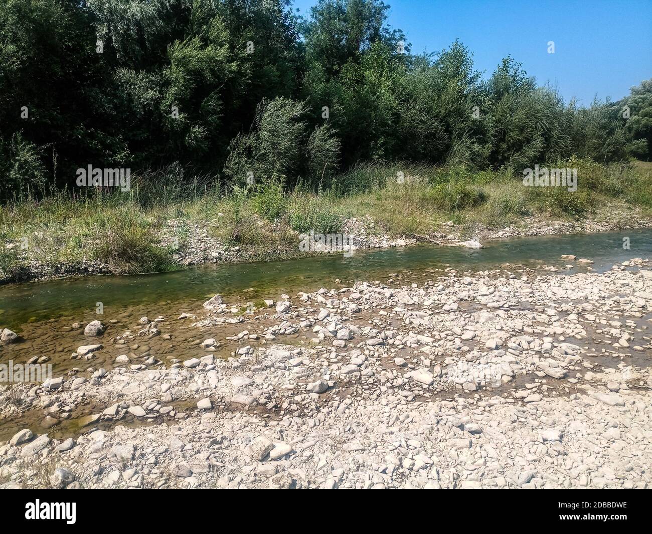 A shallow mountain river, the bottom of a mountain river of stones and ...