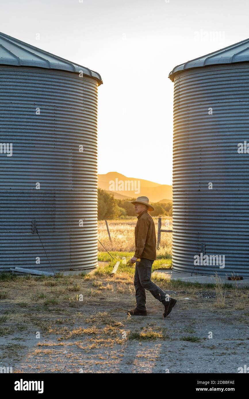 USA, Idaho, Bellevue, Rancher walking past silos Stock Photo - Alamy